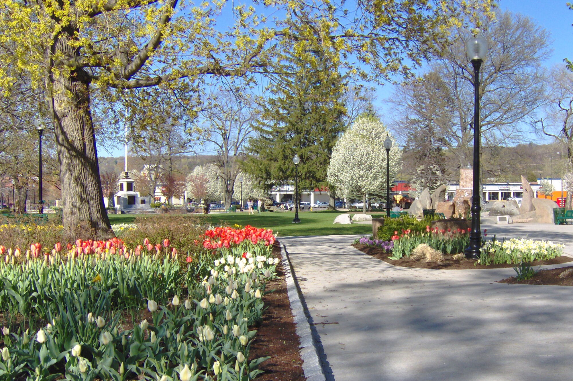 Torrington Parks and Recreation - QuickScores.com